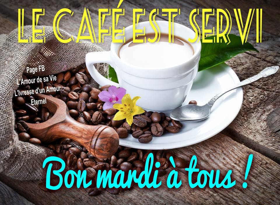 Bon Mardi Images Photos Et Illustrations Gratuites Pour Facebook