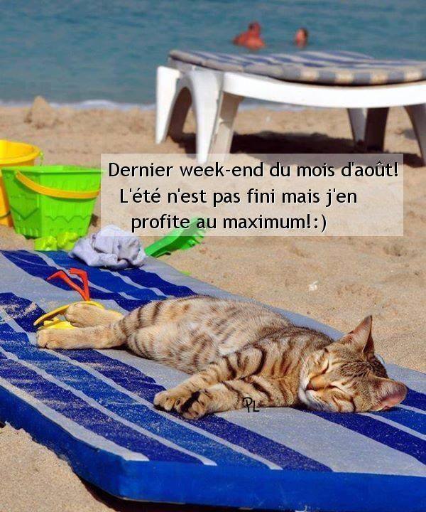 Image Drole Vacances Au Soleil