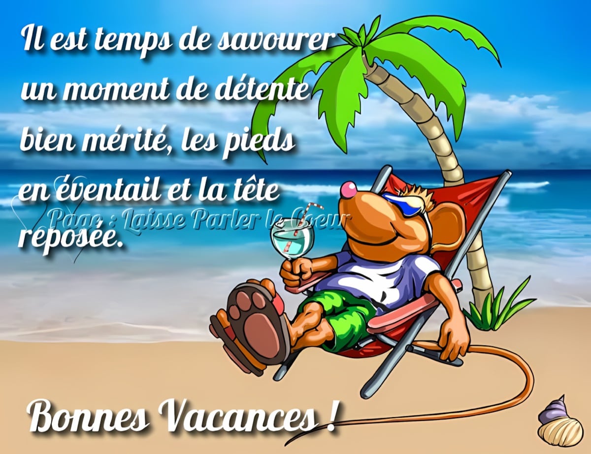 Image Drole De Vacances